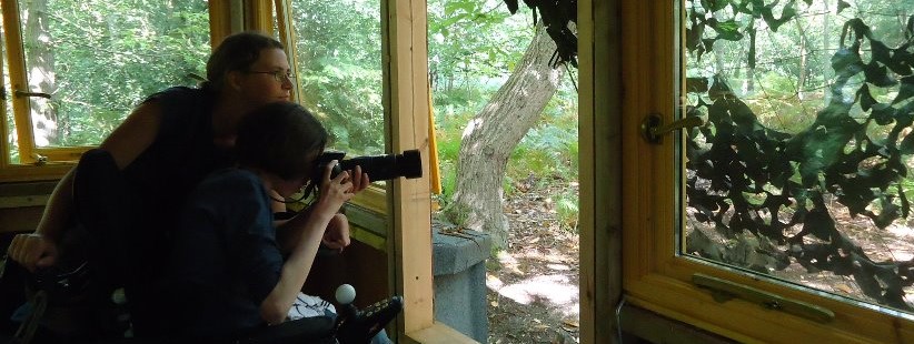 Gallery – Pathfinders Camp